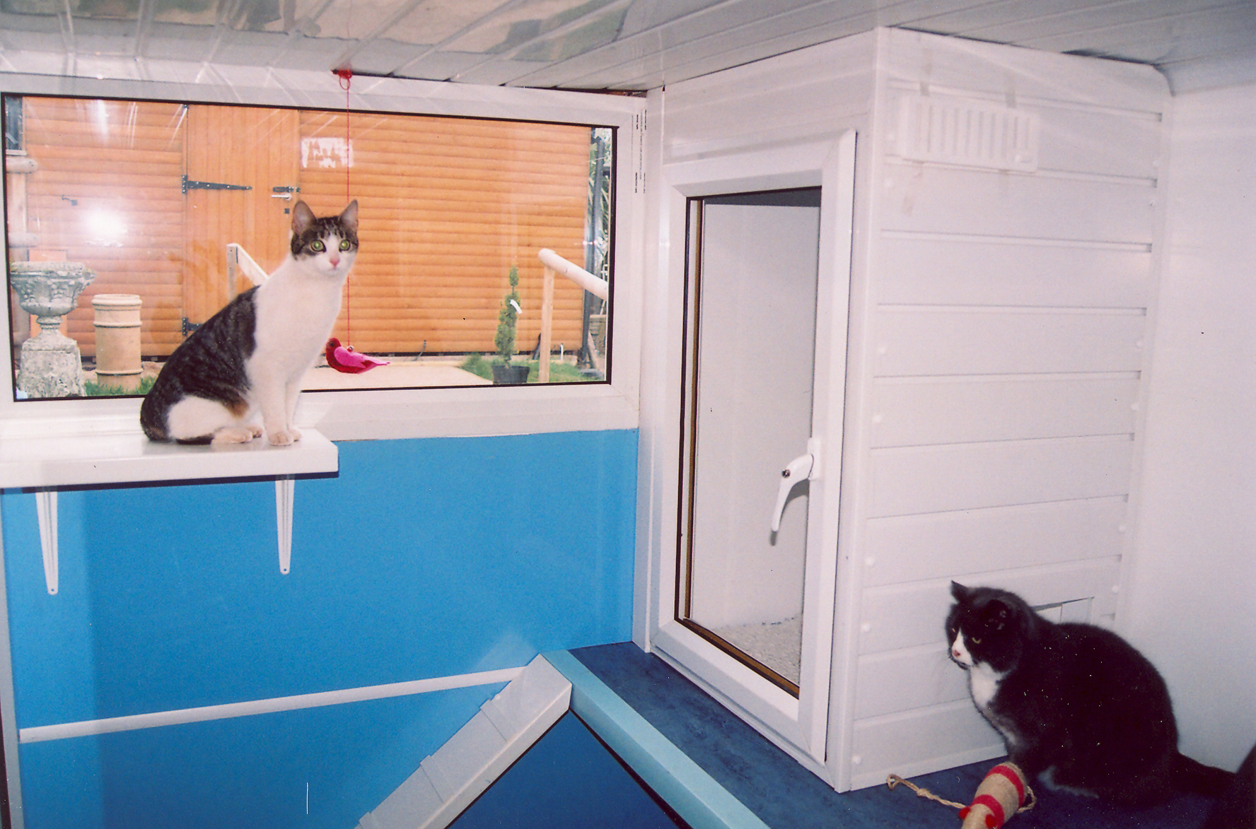 Cattery – Long Meadow Pet Resort